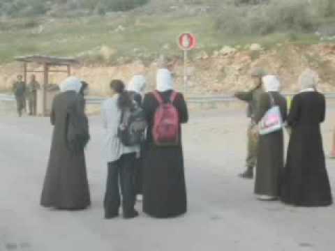 Eye witness - Anna Baltzer - P2 - YouTube