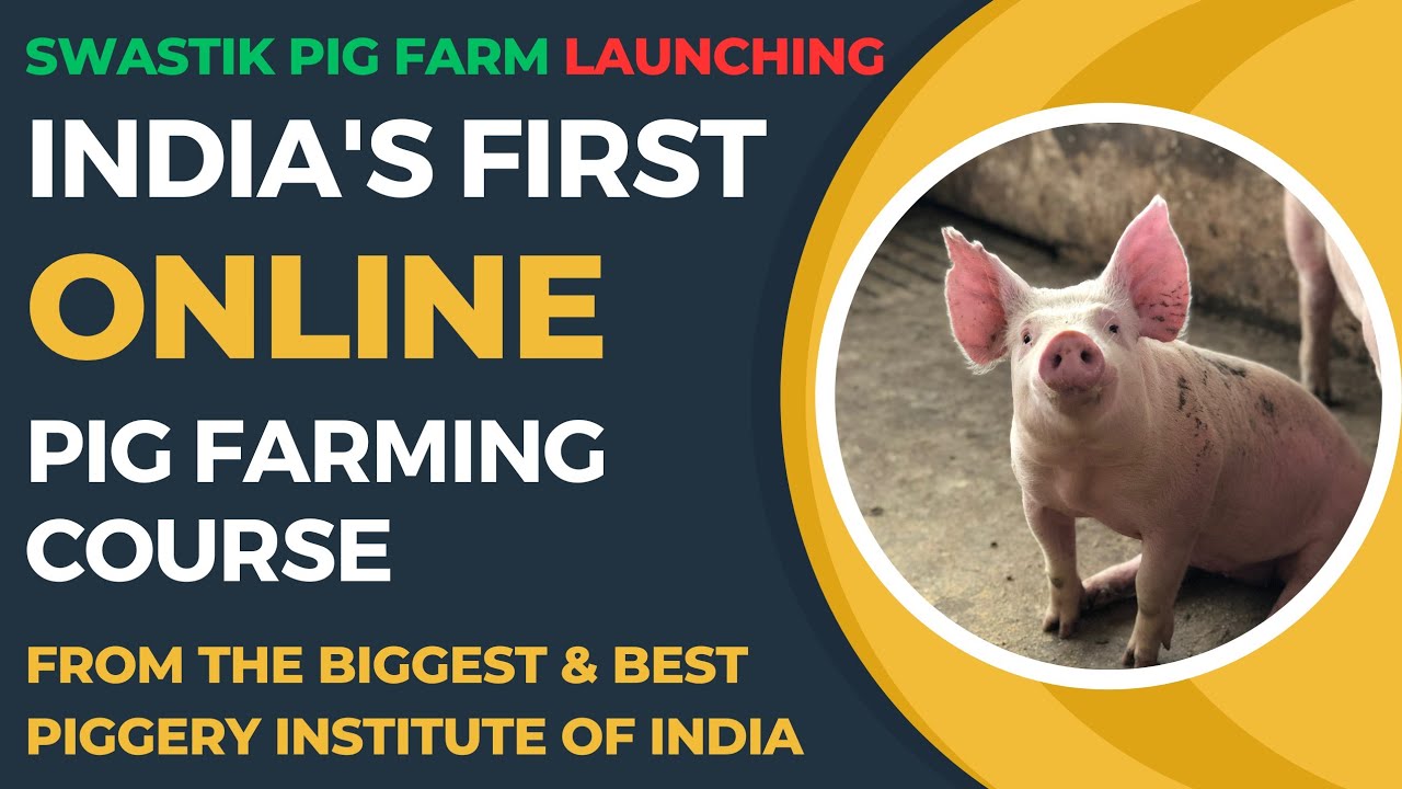 INDIA'S FIRST ONLINE PIG FARMING COURSE FROM THE BIGGEST & BEST PIGGERY ...