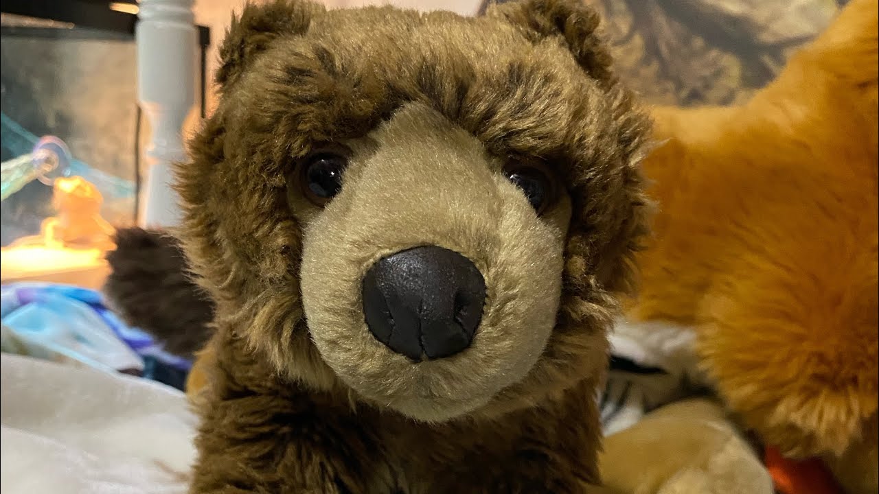 SOS Brown Bear Plush Review - YouTube