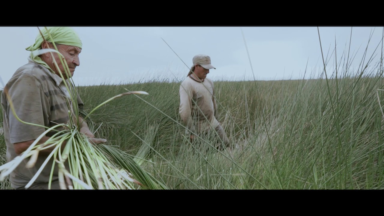 Raymisa Institucional - YouTube