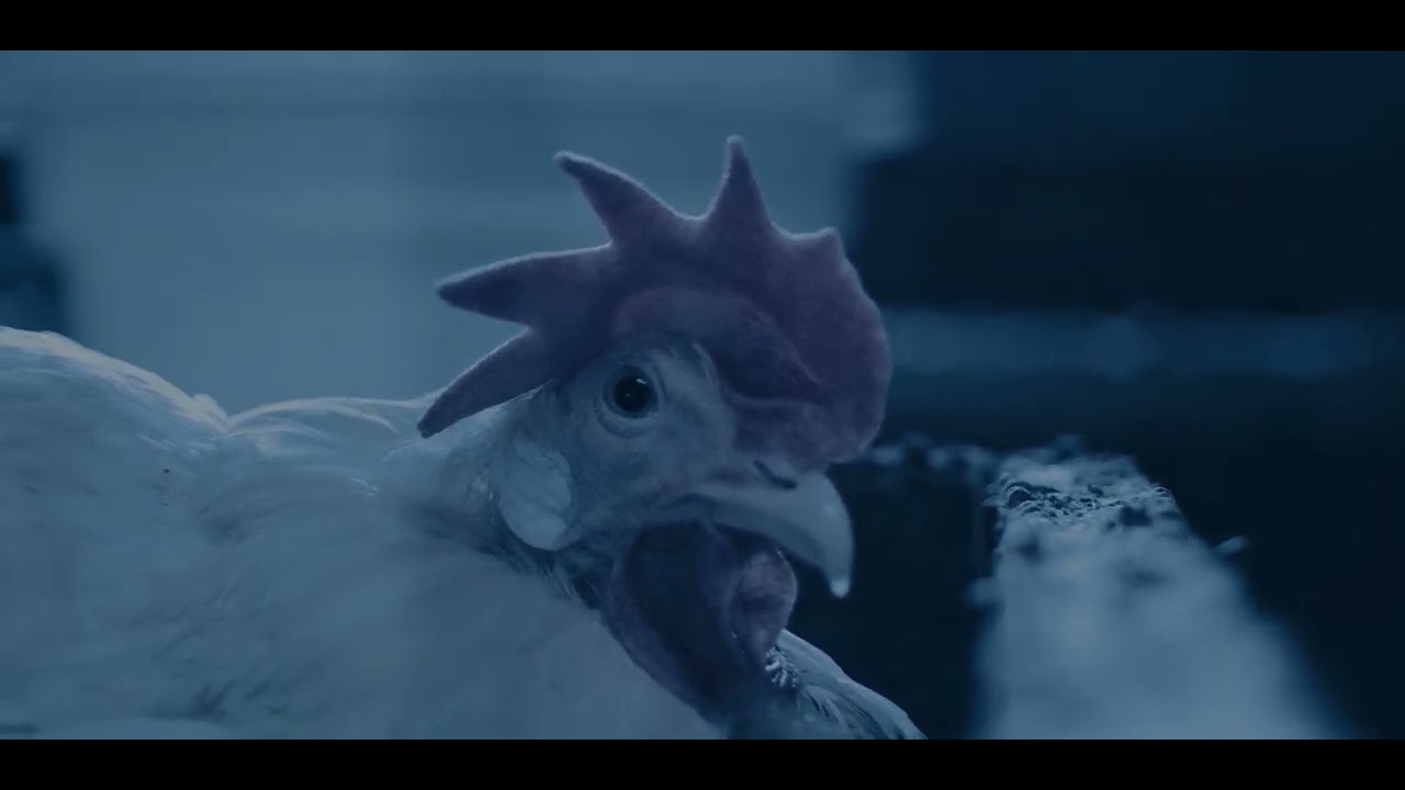 DOL 119 Датчик для измерения содержания CO2 со штекерный разъёмом М12 ...