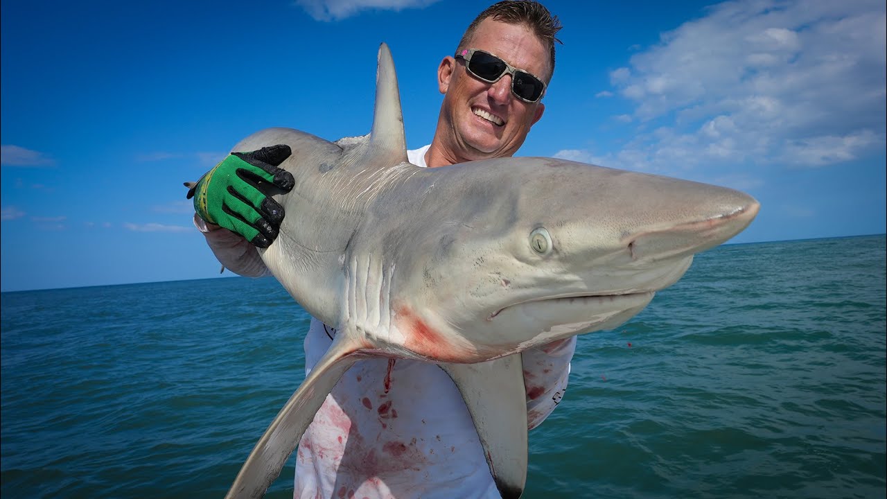 BlackTip SHARK + Pompano {Catch Clean Cook} Epic Birthday Party Taste ...