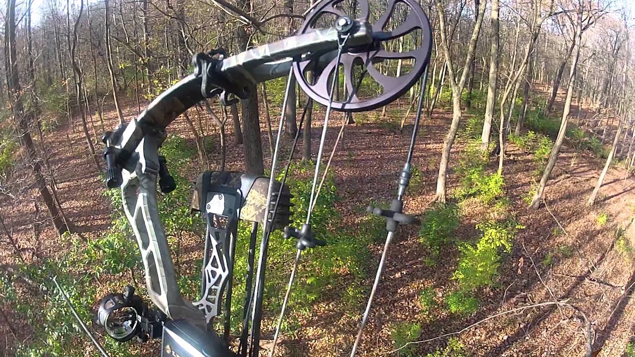 Raccoon Bow Hunting - YouTube