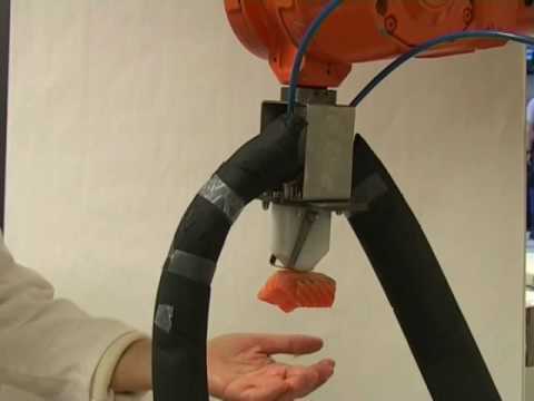Freeze Gripper - YouTube