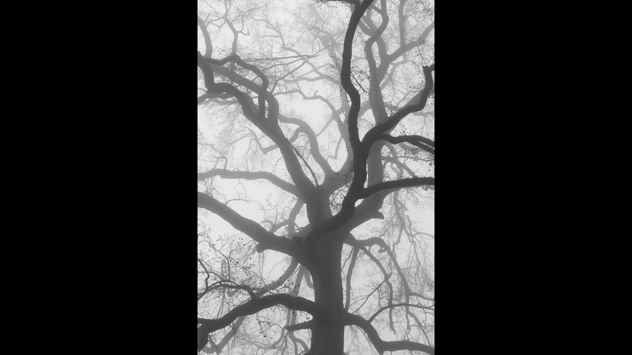 Entre ramas / PGM FRM1 Fireman - YouTube