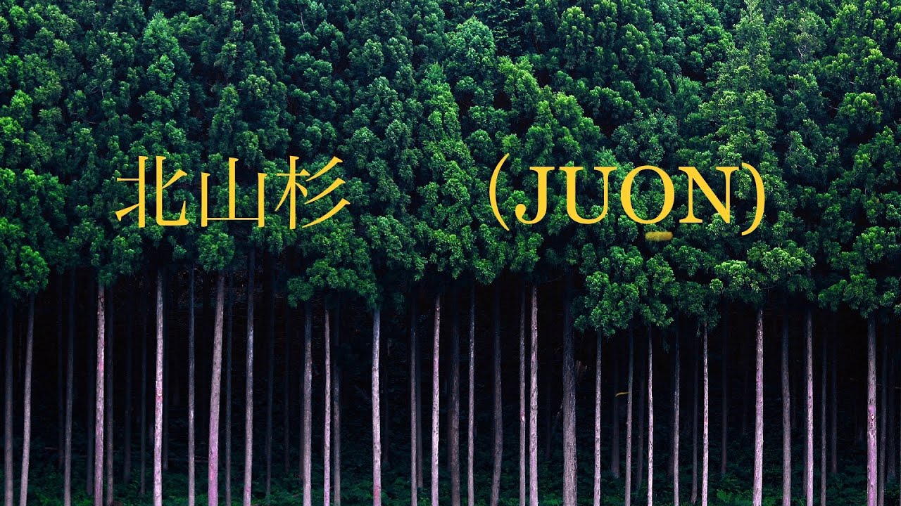 北山杉【JUON】cover 再録版 『京都人の密かな愉しみ Blue 修行中』エンディングテーマ ~ギター弾き語り~ - YouTube