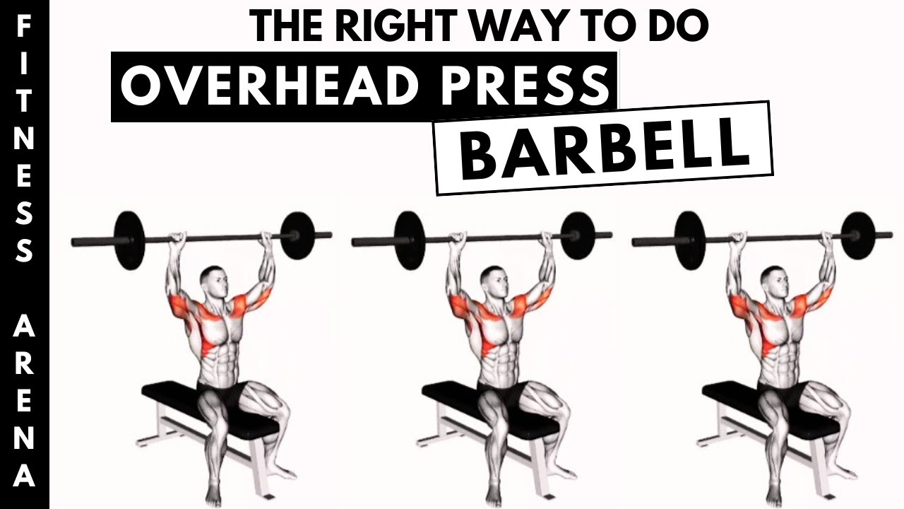 How to do Overhead Press Barbell | The Right Way | Fitness Arena - YouTube