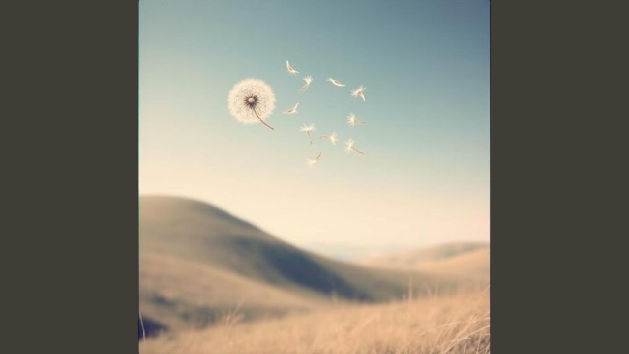 Peaceful Memories - YouTube