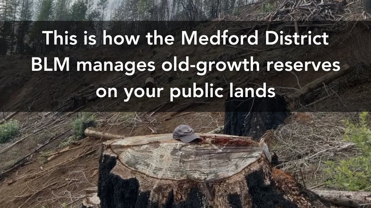 WATCH: This is how the BLM manages your public lands. - YouTube