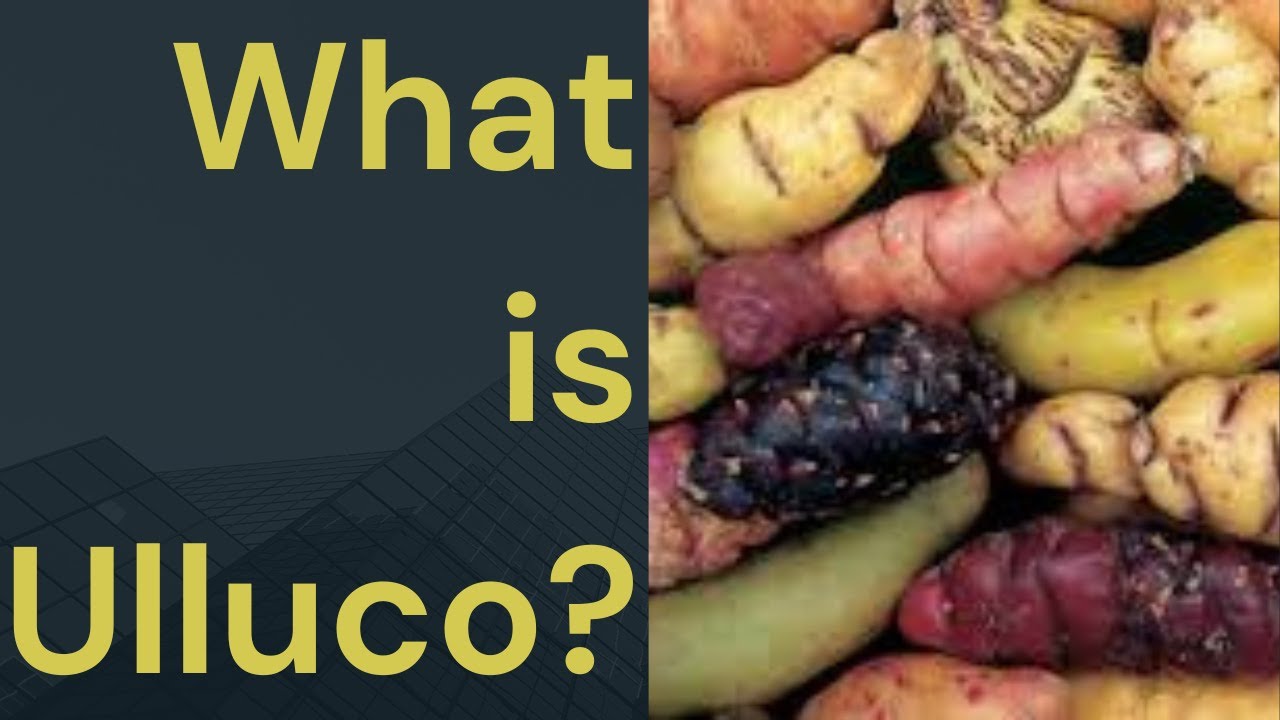 The Shocking Power of ULLUCO! - YouTube