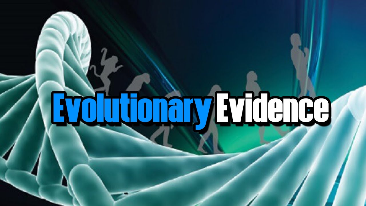 🔬 The Genetic Proof of Evolution ⚗ - YouTube