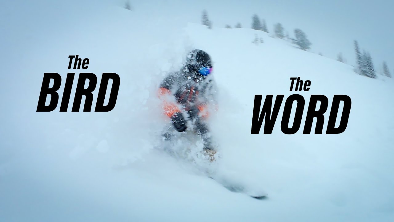 Is this the BEST ski resort in Utah? - Snowbird Powder Day 2024 - YouTube