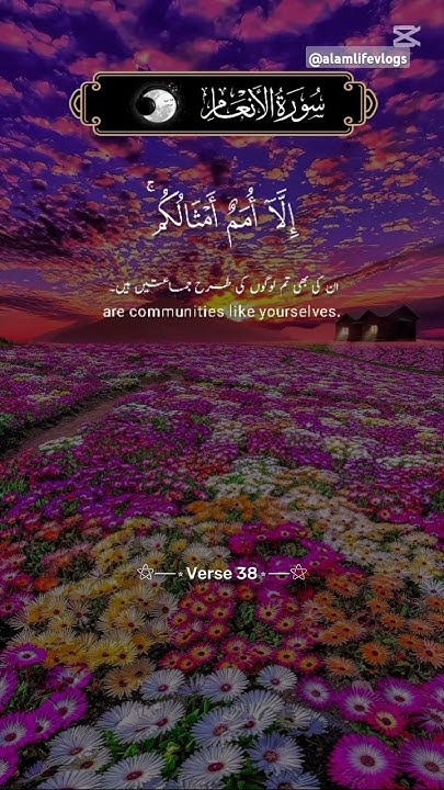 #viralvideo #shortvideo #shorts #islam #islamic #islamicvideo #surah #trending #reels #allah ...