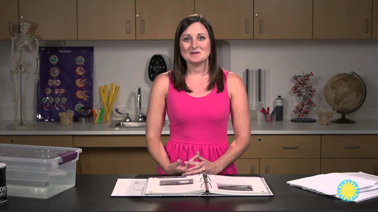 Floating and Sinking– Investigating Boat Designs - YouTube