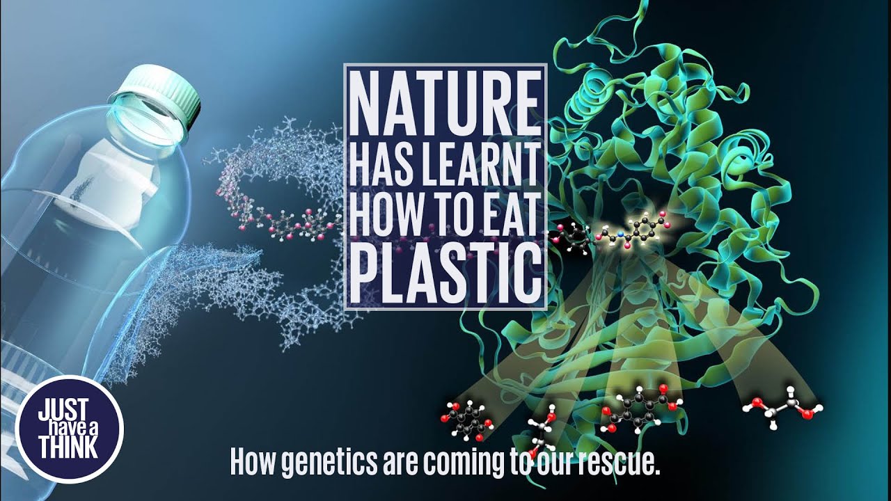 Nature has learnt how to eat our plastic! - YouTube