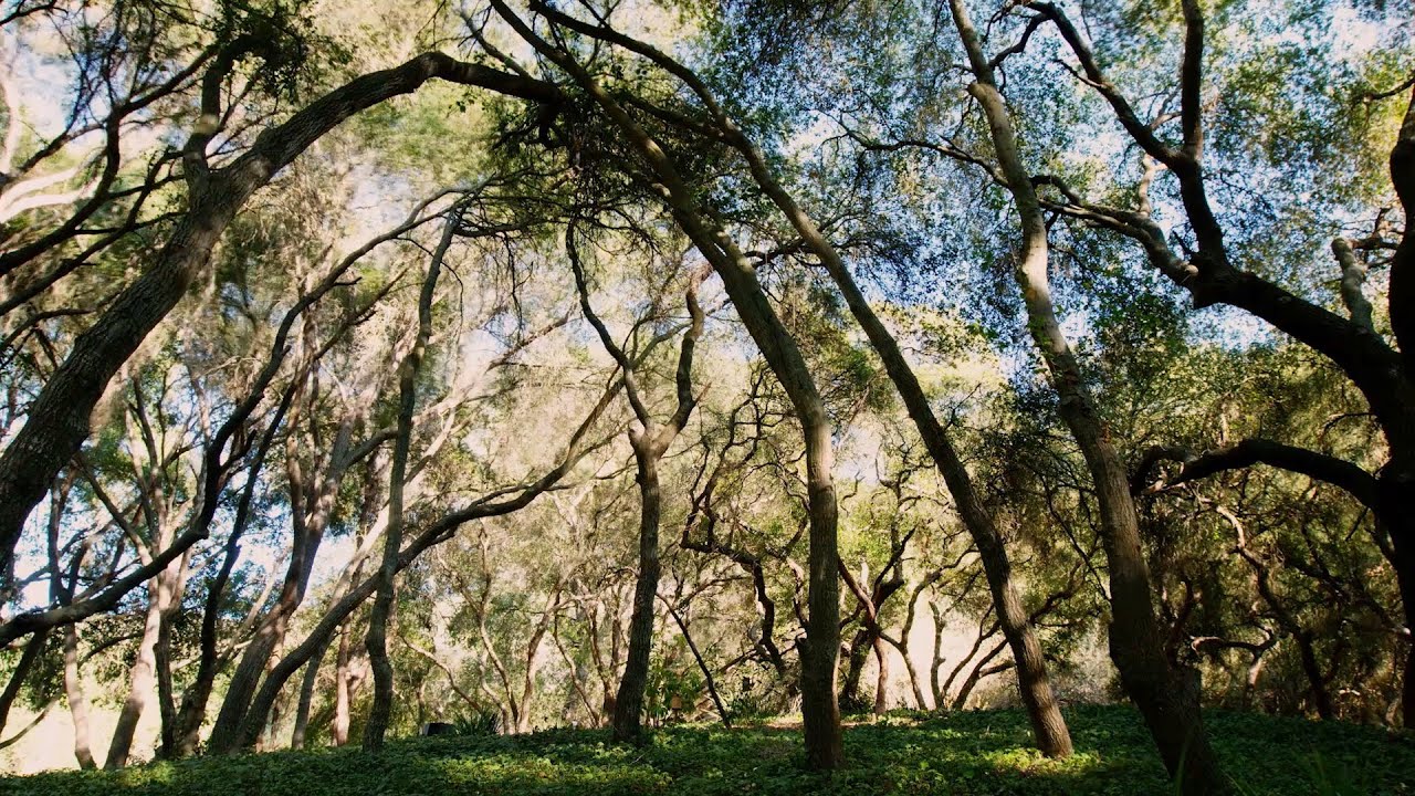 Shadows: Making the Invisible Visible - YouTube