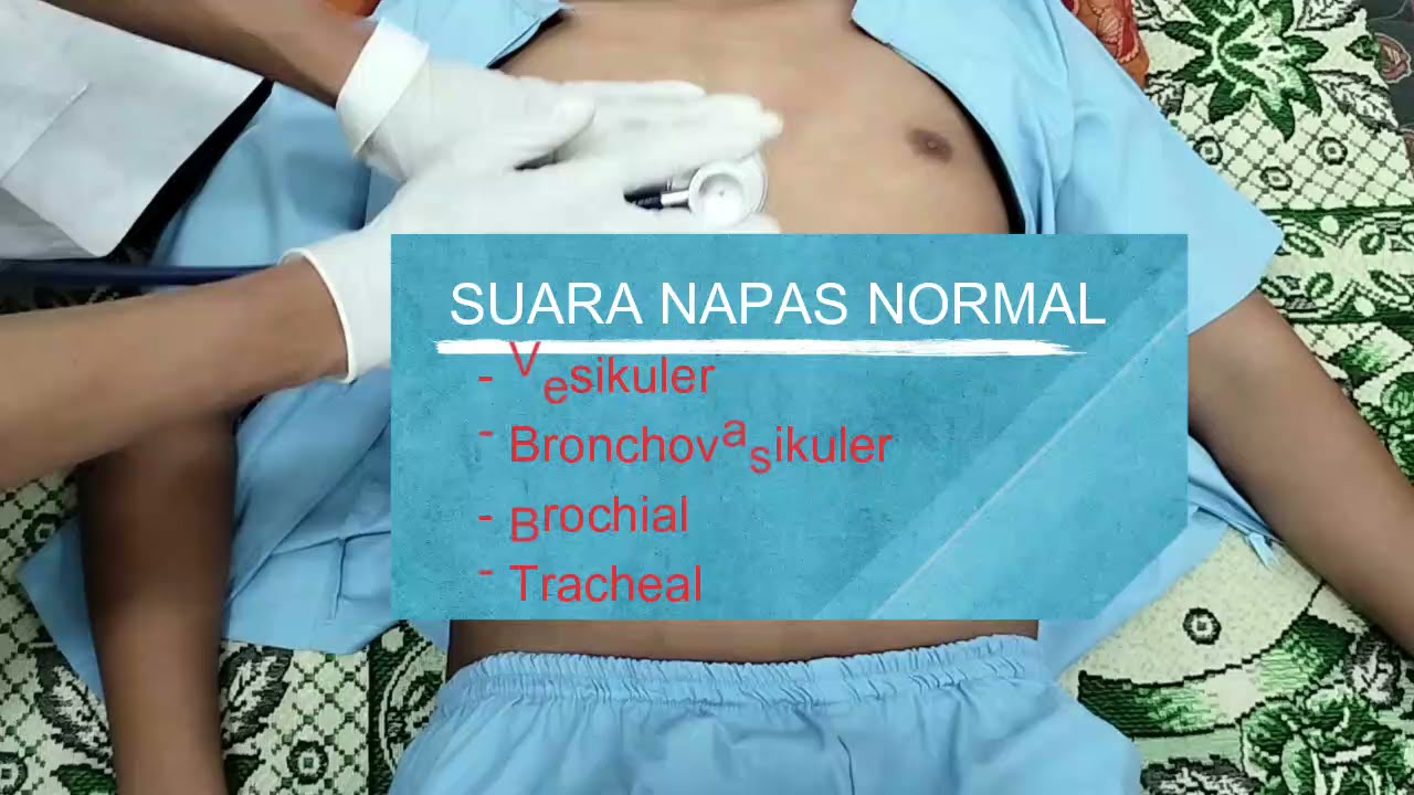 Pemeriksaan Fisik Pada Anak Area Dada (PANUM Kelompok 2 Muh. Farid ...