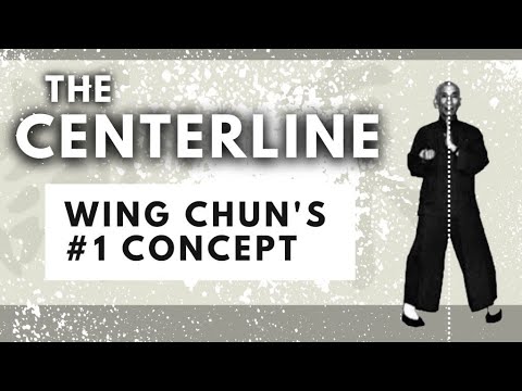 СЕРДЦЕ стиля Вин Чун КУНФУ- ТЕОРИЯ Центральной линии / THE HEART OF WING CHUN - THE CENTRAL LINE