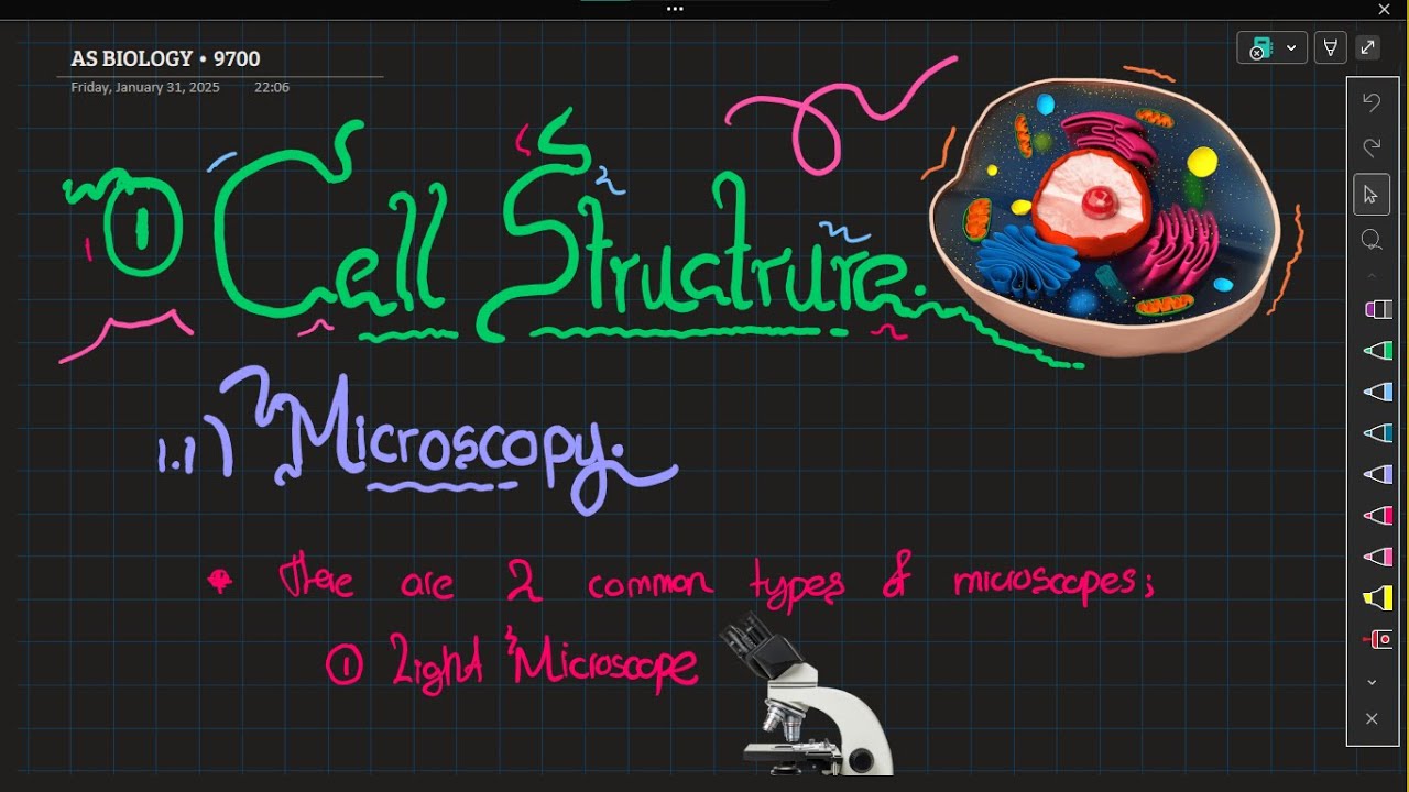 AS BIOLOGY 9700 • Chapter One - 1: Cell Structure → 1.1 Microscopy ...