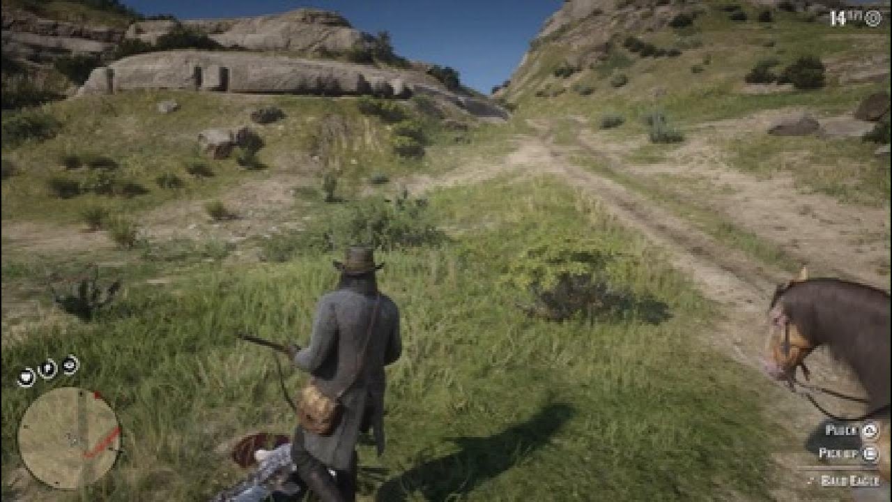 Red Dead Redemption 2 Killing Rare Bald Eagle - YouTube