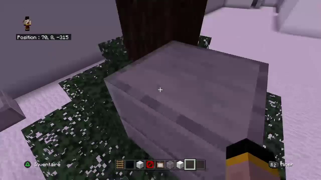 Live minecraft cache cache survie et autres choses avec vous - YouTube