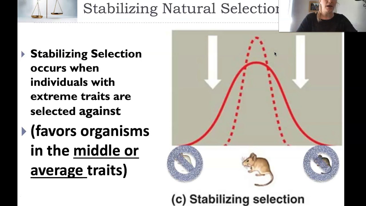 Evolution Graphs Lecture and Problems - YouTube