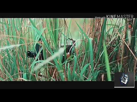 Free fire movie || Kelly, Ford, Antonio, max,Misha, Kla, Paloma, Adam are battling in real life ||