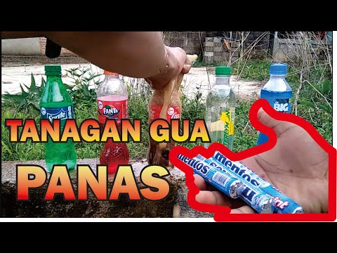 REAKSI KIMIA TERCEPAT MINUMAN BERSODA| COCA COLA DKK| AUTO MUNCRAT