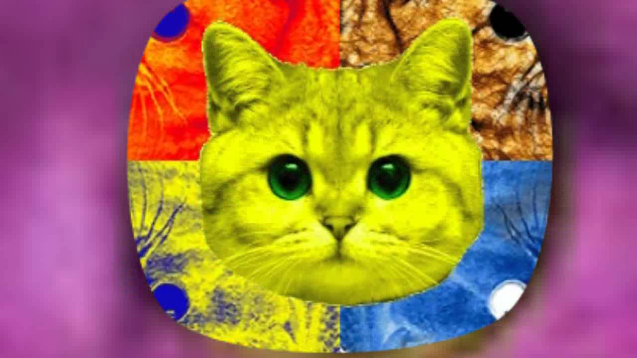 CO JA PACZE - YouTube