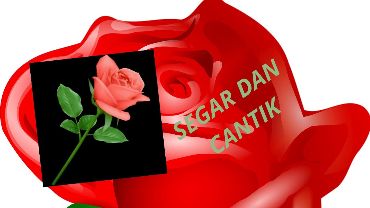 Panorama indah alam raya - YouTube