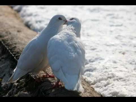 BaşLık BuLamadım !