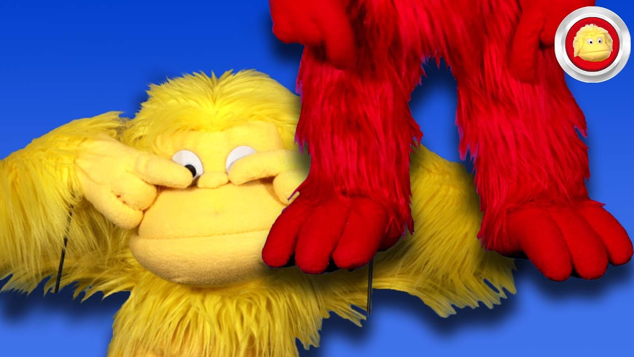 Head Shoulders Knees and Toes | Puppets For Kids | Learning Videos for ...