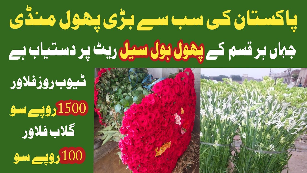 Flowers Mandi | Pakistan Ki Sabse Badi Phool Mandi | Cheap rate of ...