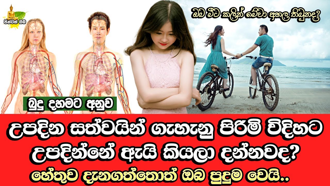 උපදින සත්වයින් ගැහැනු පිරිමි ලෙස දෙවිදිහකට ඉපදෙන්නේ මේ හේතුව නිසා ...