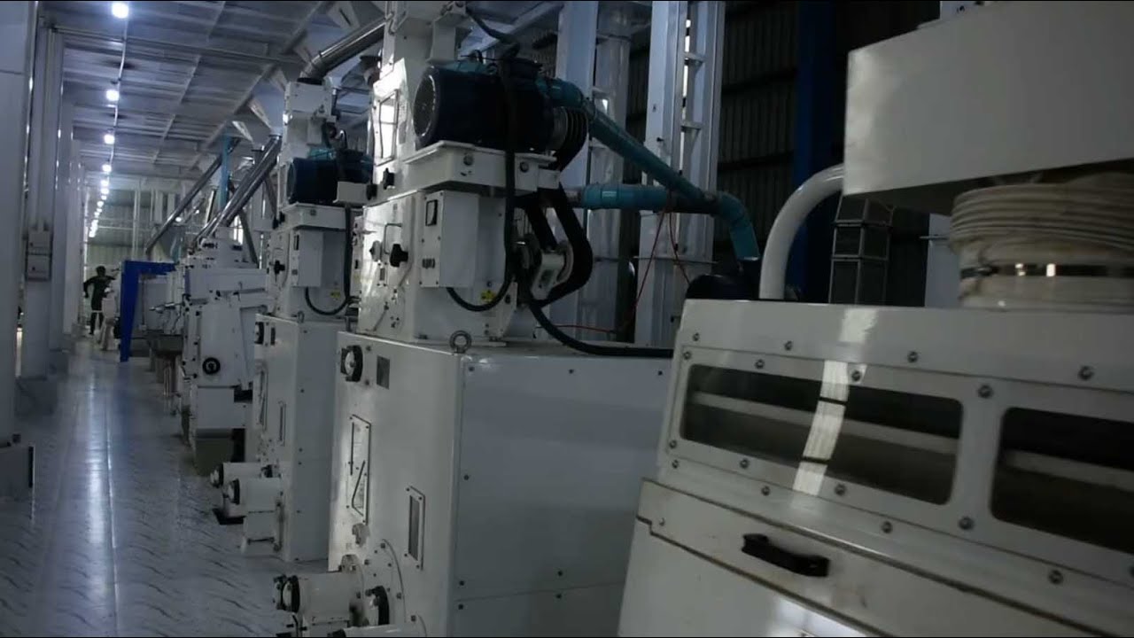 Most Modern Auto Rice Mill (Capacity: As per Customer requirement ...