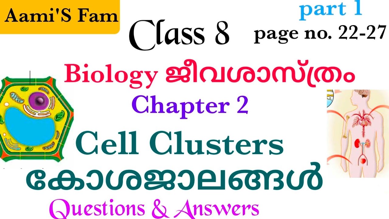 Class 8-Biology-Chapter 2-Cell clusters-questions and Answers - YouTube