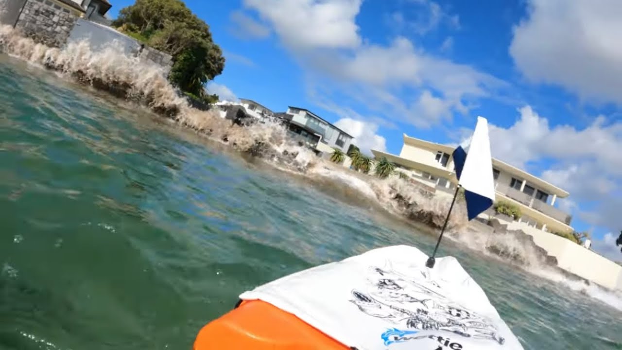 Spearfishing Auckland NZ, Northshore Dive Mission - YouTube