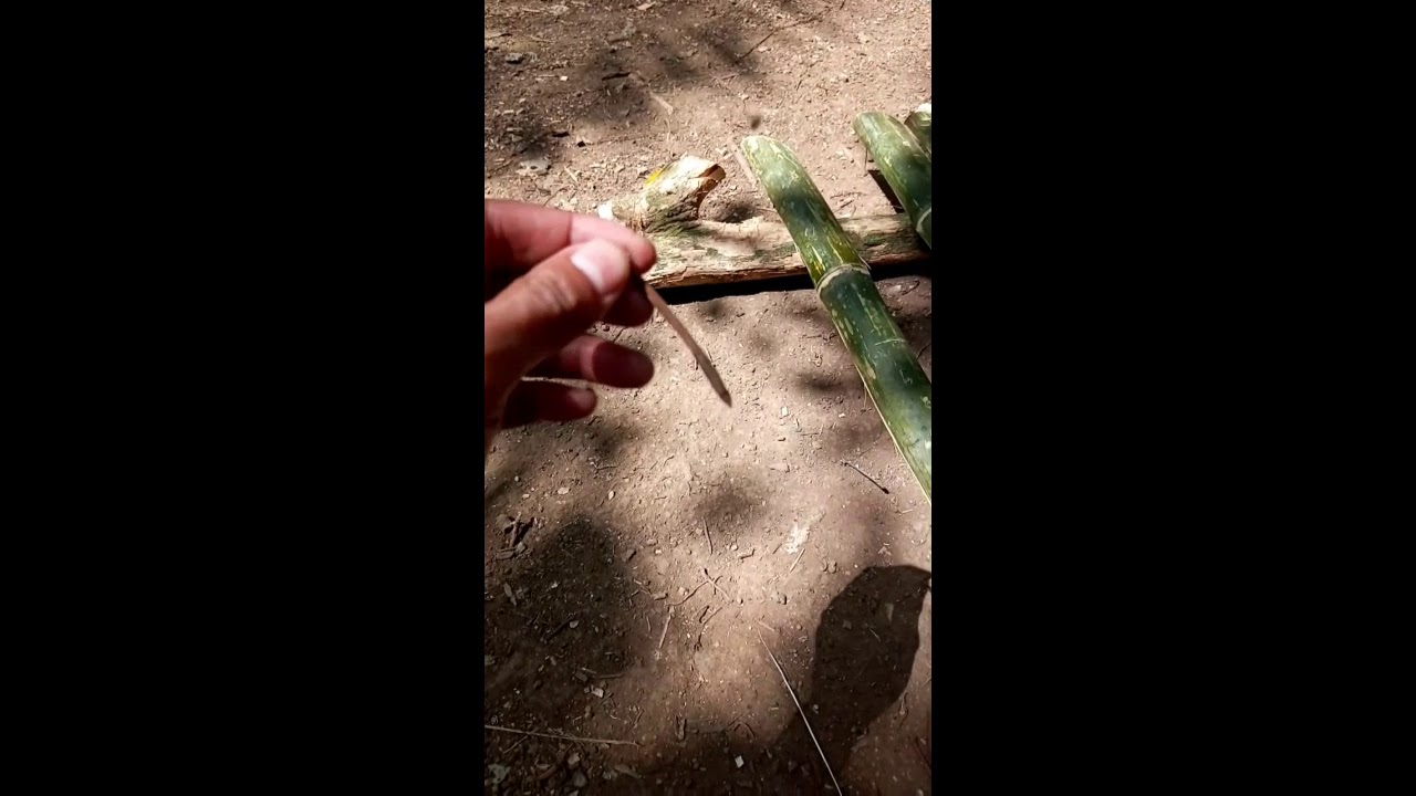 How to cook chicken head/catching monitor lizard| - YouTube