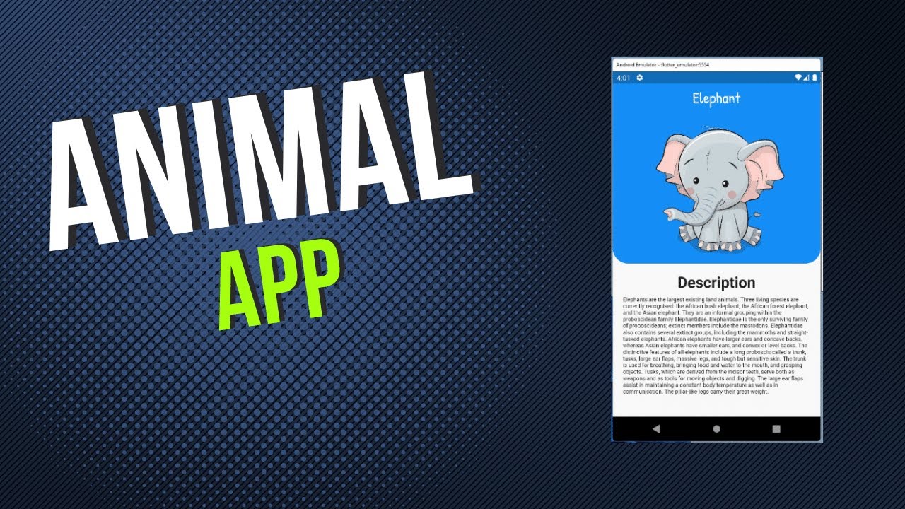 Animal App - YouTube