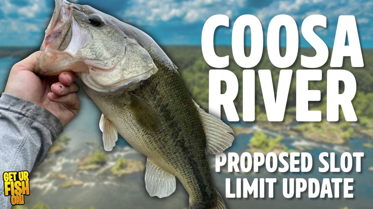 UPDATE on the Proposed Bass Fishing Slot Limit on the Coosa River - YouTube