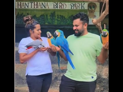 Bird Park Experience | Kandy | Sri Lanka - YouTube