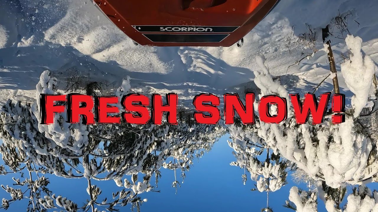 Trees decorated with fresh beautiful snow, let's go for a snowmobile ...