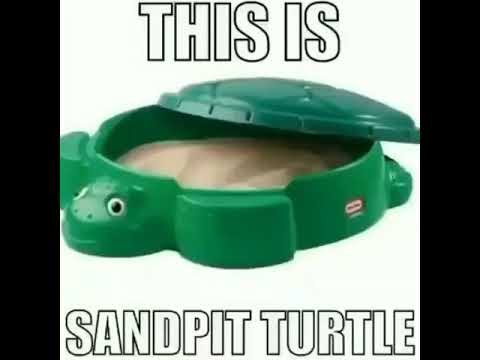 sandpit turtle - YouTube