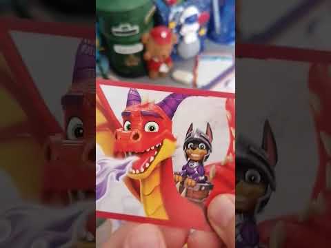 Özgün Ata'nın Paw Patrol Albümü