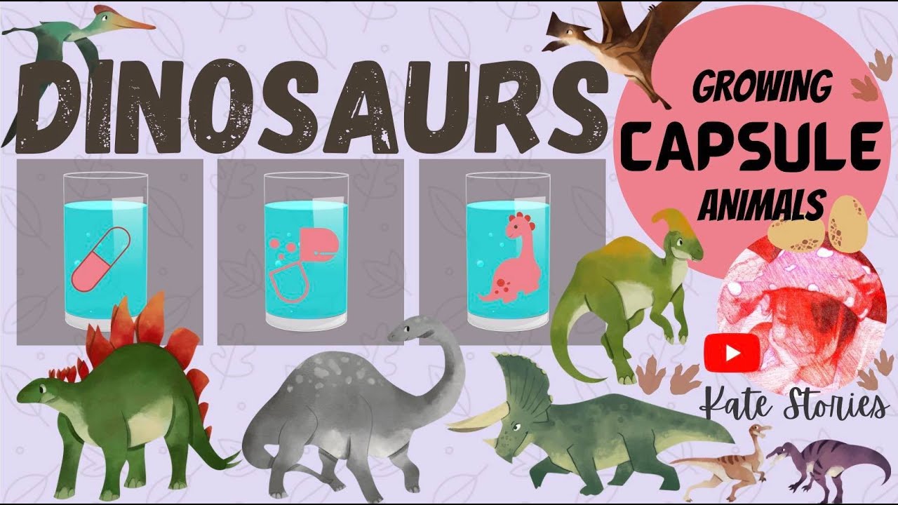 DINOSAURS Growing Capsule Animals - YouTube