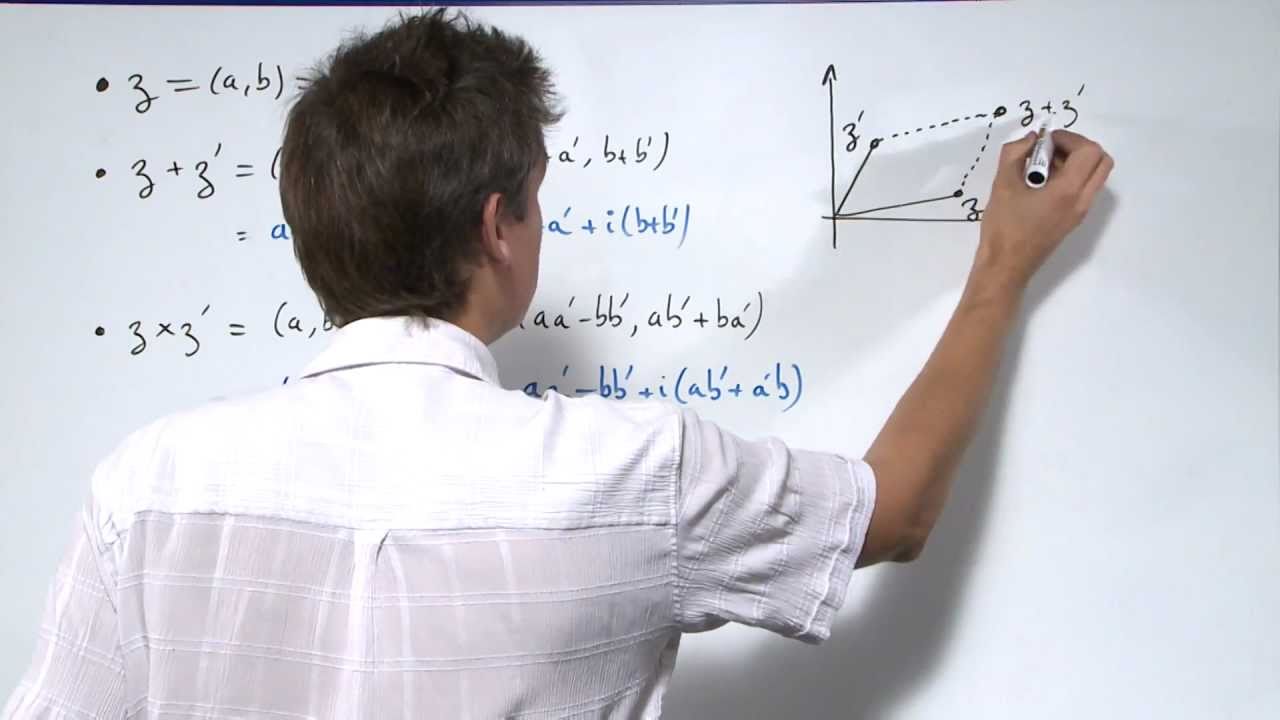 Polynômes - Exo7 - Emathfr