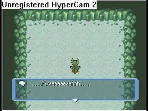 Wish Cave Getting A Wish Granted - YouTube
