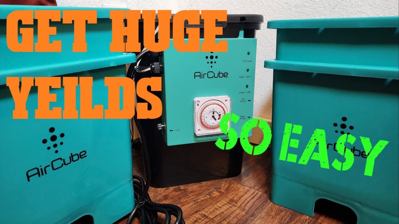 How To Grow HUGE plants w/ Air Cube Active Oxygen Grow System! | Ebb ...