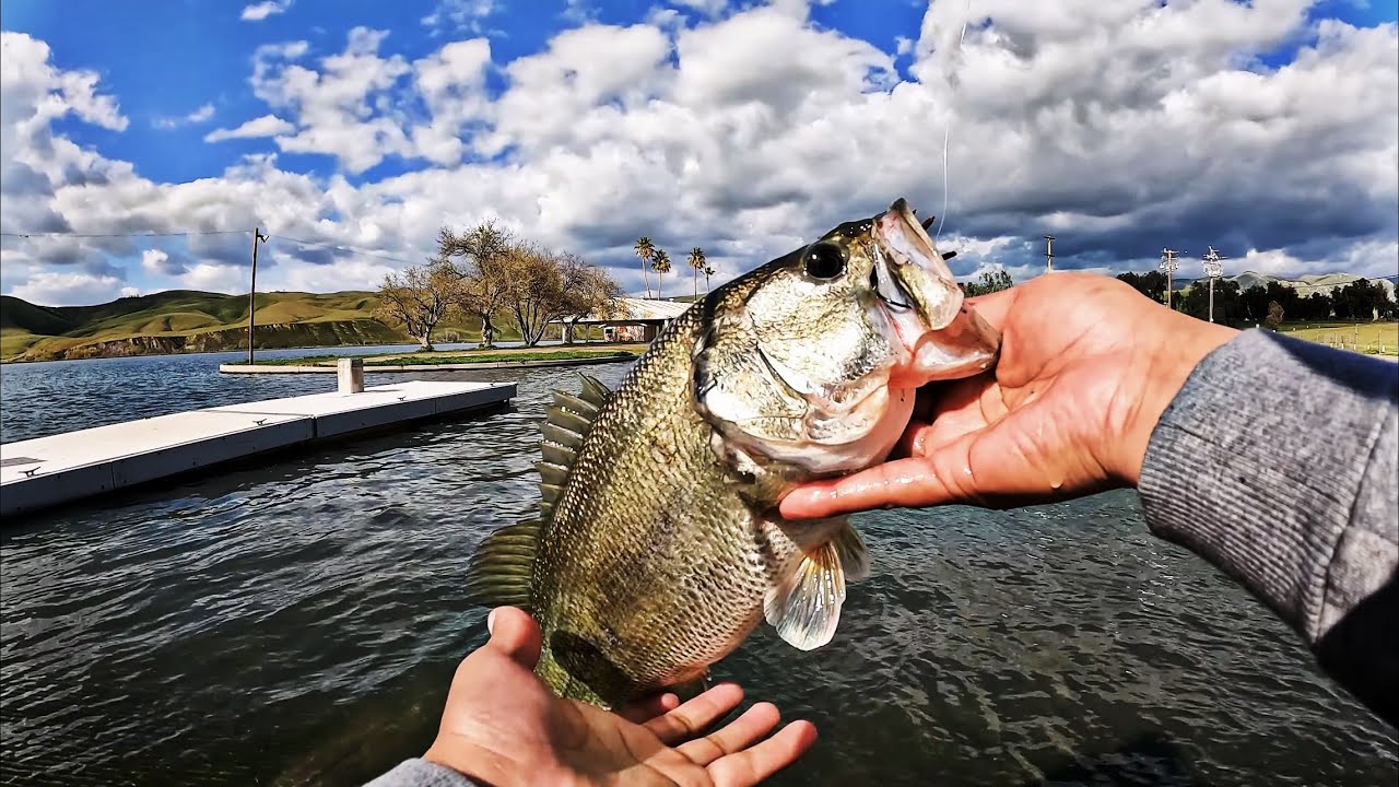 Bass Fishing at Lake Ming In Spring - YouTube