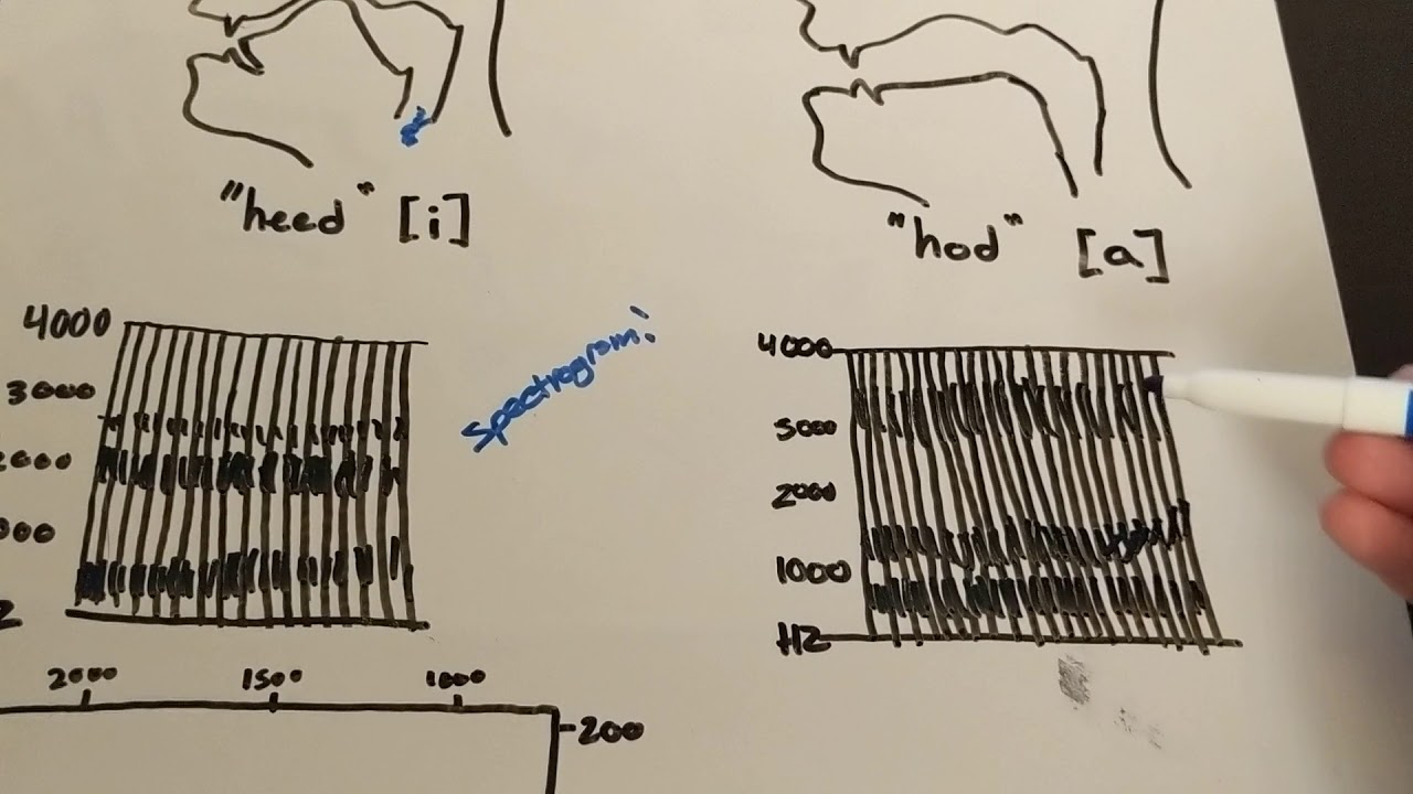 Formant Frequencies Mini-Lesson - YouTube